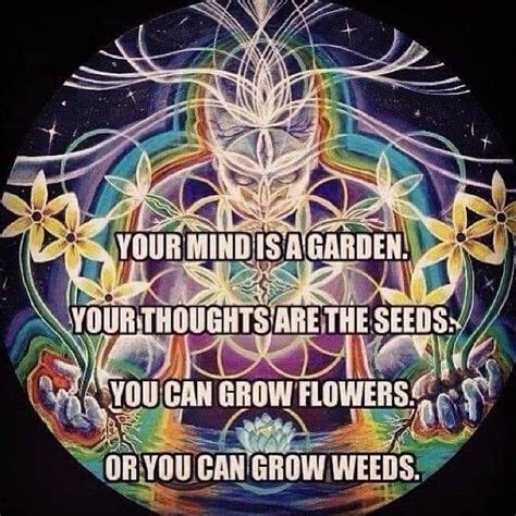 🦋 Inspiration And Positive Vibes Raisethevibetribe • Instagram