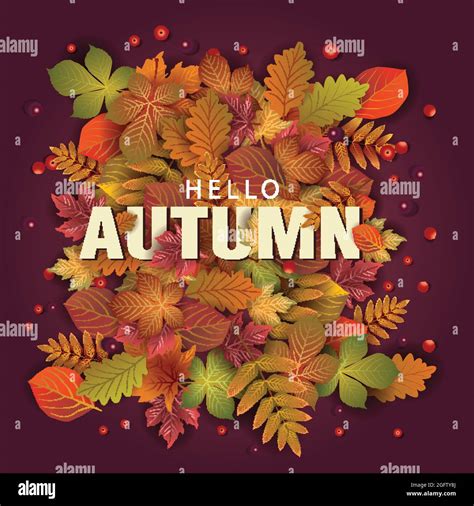Hello Autumn Stylish Background Decorate With Leaves And Fruits Web
