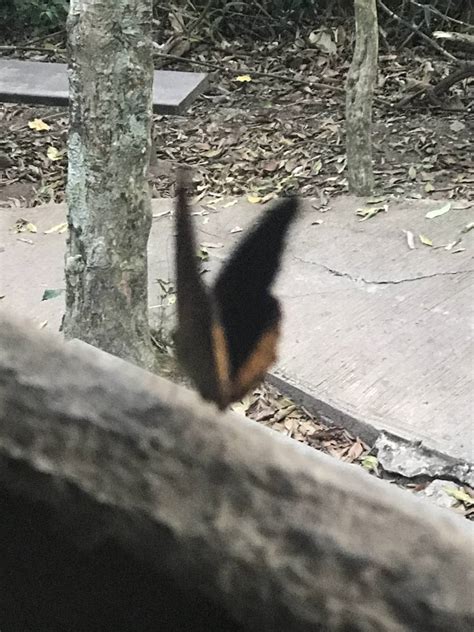 แบบทดสอบ สนุก ๆ Professional Development Quiz Wayground