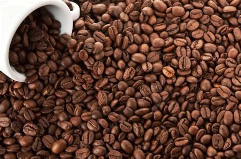 Excelsa Coffee Beans Coffee Beans Ph Home Of Philippines Finest Coffees