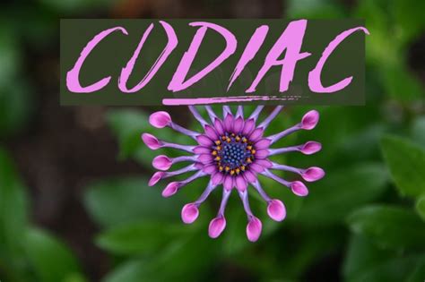 Codiac Font