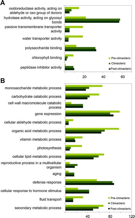 Functional Categorization Of Differentially Expressed Genes During
