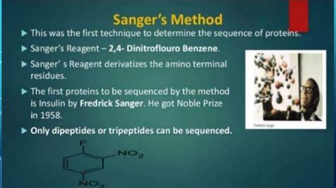 Protein Primary Structure Determination Ppt