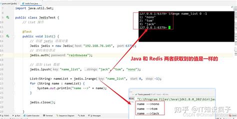 Redis 当中 Jedis 的详细刨析与使用 知乎