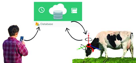Data Acquisition Workflow Download Scientific Diagram