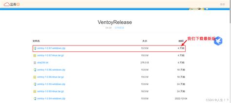 使用ventoy制作pe（可同时存在多个pe）——（有图文）ventoy怎么进入pe Csdn博客