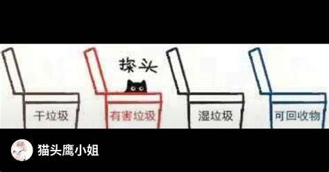 猫头鹰小姐 Pixiv