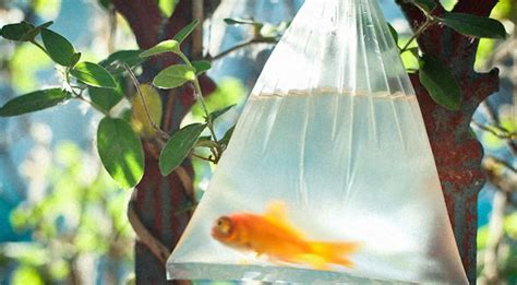 星座网 星座命理分析12星座配对十二星座日期查询2023 08 2星座运势查询