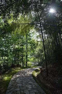 陡峭的斜坡上的楼梯素材 花瓣网