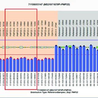 Gene Sequencing Results Showing That This Patient Carried A Download Scientific Diagram