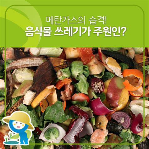 메탄가스의 습격 음식물 쓰레기가 주원인 네이버 블로그