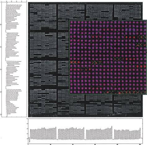 Depiction Of A Noncircular Spot In Which A Circular Spot Assumption Download Scientific