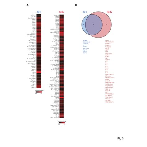 Experiment Plan And Human Cytokine Array Data Collection A Schematic