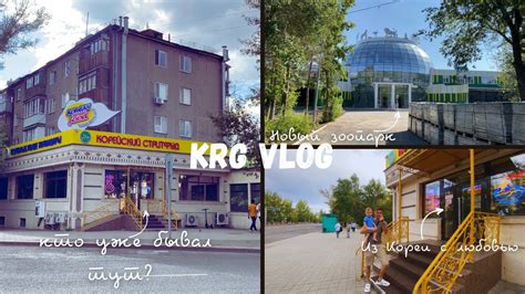 НОВЫЙ ЗООПАРК в КАРАГАНДЕ пробуем КОРЕЙСКИЙ СТРИТФУД Youtube