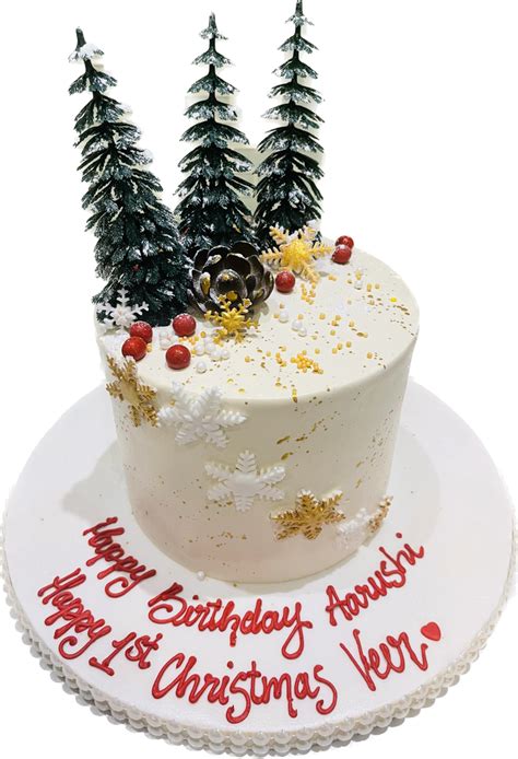 Winter Wonderland Birthday Cake Rashmis Bakery