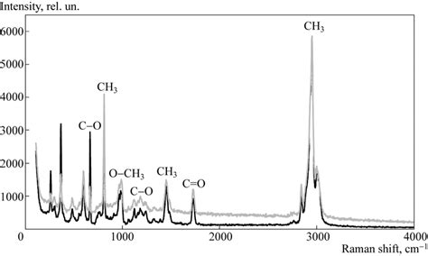 Raman Spectra Of The Black Curve Initial Pmma Sample And Gray Curve