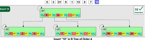 Insertion In B Tree Examples Order 34 Cs Taleem