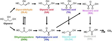 Proposed Reaction Scheme Of Glycerol Oxidation Download Scientific