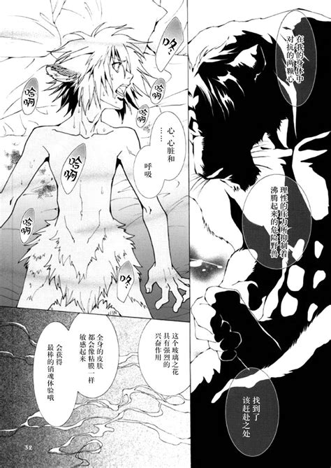 Goldendawn89 Karitaka Akira Ono Nui The Wild Leg 3 Cn