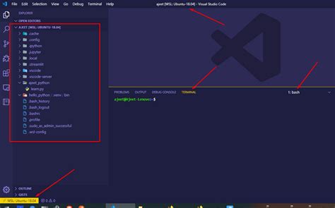 set up jupyter notebook in vs code for data science dev community