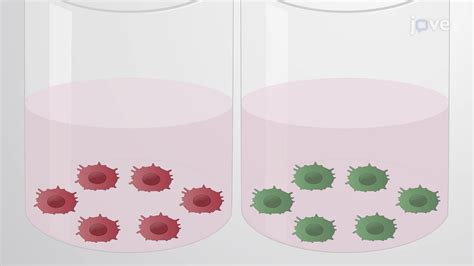 An Assay To Screen Bioactive Nanoparticles For Toll Like Receptor