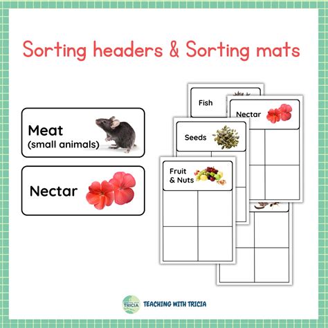 Bird Beak Shapes And Diet Sorting Activity Differentiated Real