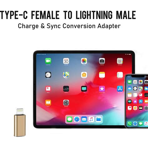 Dynamode USB Type C Female To Lightning Tm Male Sync Charge Adapter Falcon Computers