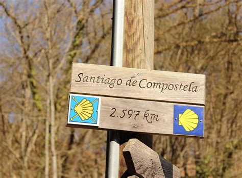 Caminho De Santiago De Compostela Bate Recorde De Peregrinos Gaudium