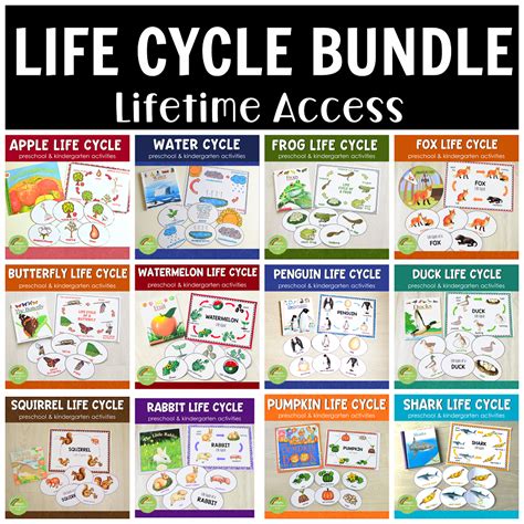 Growing Bundle Of Life Cycle Activity Sets Pinay Homeschooler Shop