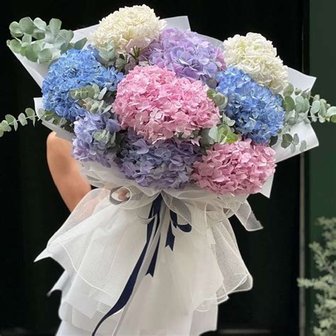 Ý Nghĩa Hoa Cẩm Tú Cầu Theo Màu Xanh Dương Hồng Trắng Chi Tiết Nhất