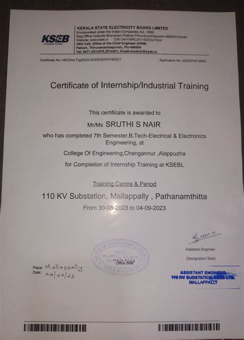 Internshipexperience Learningjourney Teamwork Gratitude Sruthi S Nair