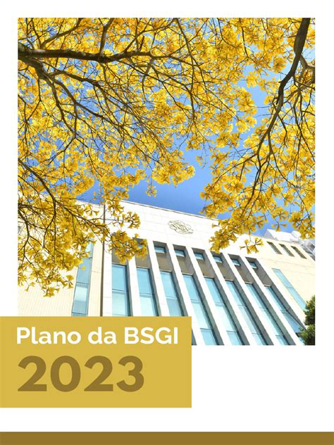 Plano Bsgi 2023 Geral Bulqy6p Pdf