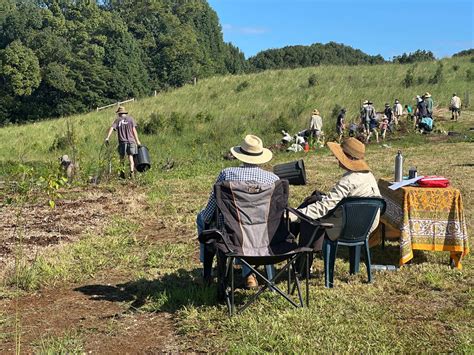 First Trees Planted At The Home Of Science Saving Rainforests And Big