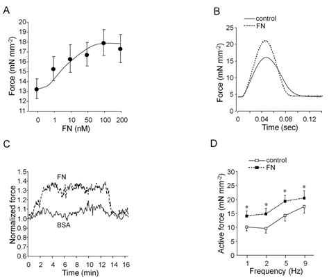 Fibronectin Increases The Force Production Of Mouse Papillary Muscles Via α5β1 Integrin