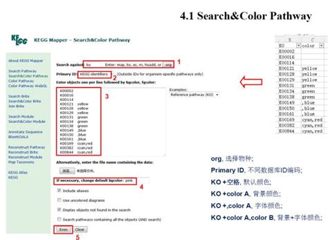 Kegg在线数据库使用攻略 Csdn博客