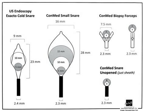 How To Estimate Polyp Size By Ben Clement Md Klaus Mönkemüller