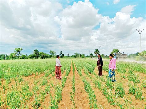 မလှိုင်မြို့နယ် ခြောက်ခွဲကျေးရွာ၌ မြစိမ်းရောင်ကျေးရွာ စီမံကိန်းလုပ်ငန