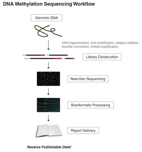Genome Wide Dna Methylation Analysis