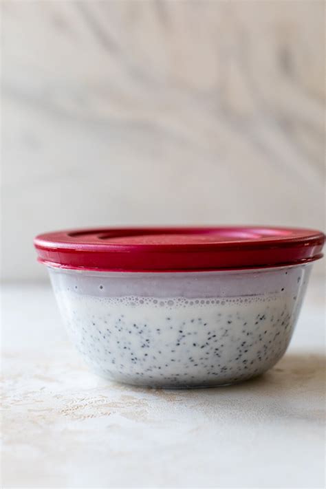 Tropical Chia Pudding Breakfast Bowl High Protein Skinnytaste