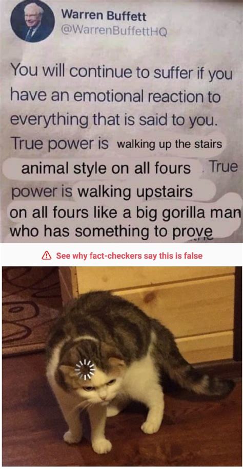 See Why Fact Checkers Say This Is False Rmemes