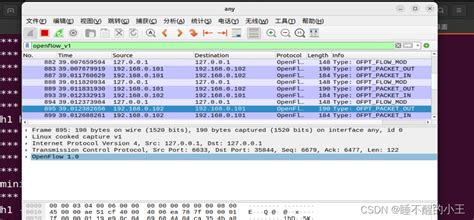 实验三：openflow协议分析实践netconf将一个openflow交换机所连接的控制器ip改了怎么做 Csdn博客