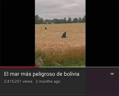 Sale Un Megalodon Meme Subido Por Omax Memedroid