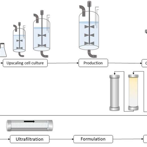 Biosimilars Review Of Regulatory Manufacturing Analytical Aspects