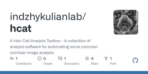 Github Indzhykulianlab Hcat A Hair Cell Analysis Toolbox A Collection Of Analysis Software