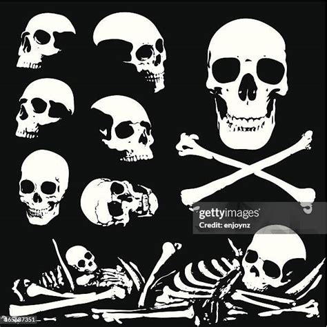 10320 Skull Bones Vector High Res Illustrations Getty Images