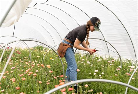 Does Polycarbonate Greenhouse Turn Yellow In The Sun