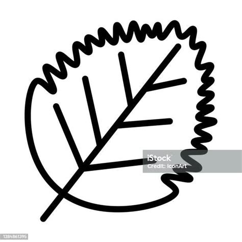 자연 컬렉션에서 자작 나무 잎 아이콘 흰색 배경에 격리 된 얇은 선형 자작 나무 잎 식물 유기 윤곽 아이콘 라인 벡터 자작 나무 잎 기호 웹 및 모바일 기호 0명에 대한