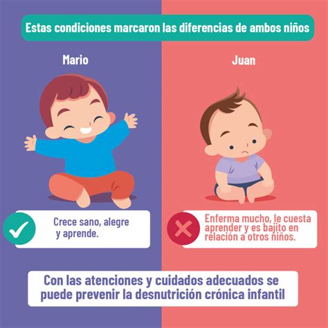 Proyecto Ecuador Libre De Desnutrición Infantil Consecuencias De La