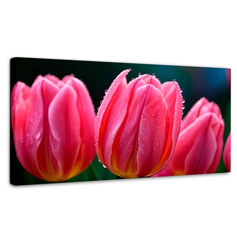 Cuadro Decorativo Canvas Tulipanes Rosa Vivo 120x60 Coppel