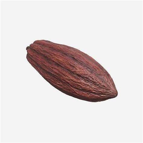 Cocoa Pod 3d Model Cgtrader